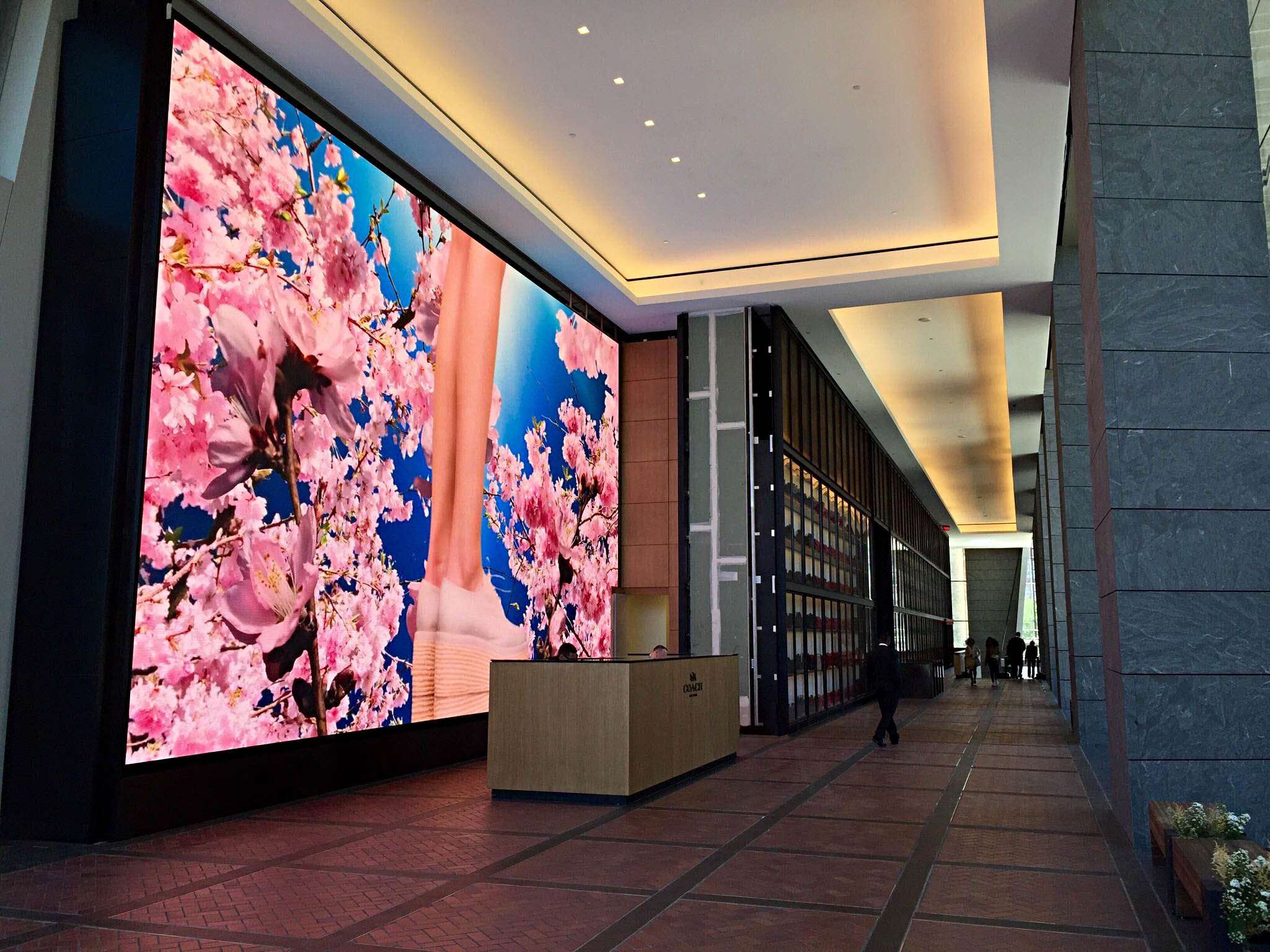 Professional IT Services - Visual Image Display